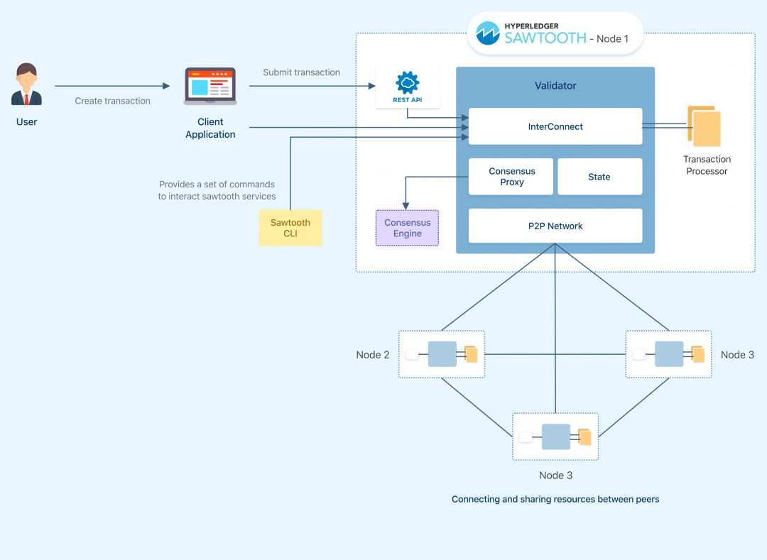 Hyperledger Sawtooth Development Company | LeewayHertz