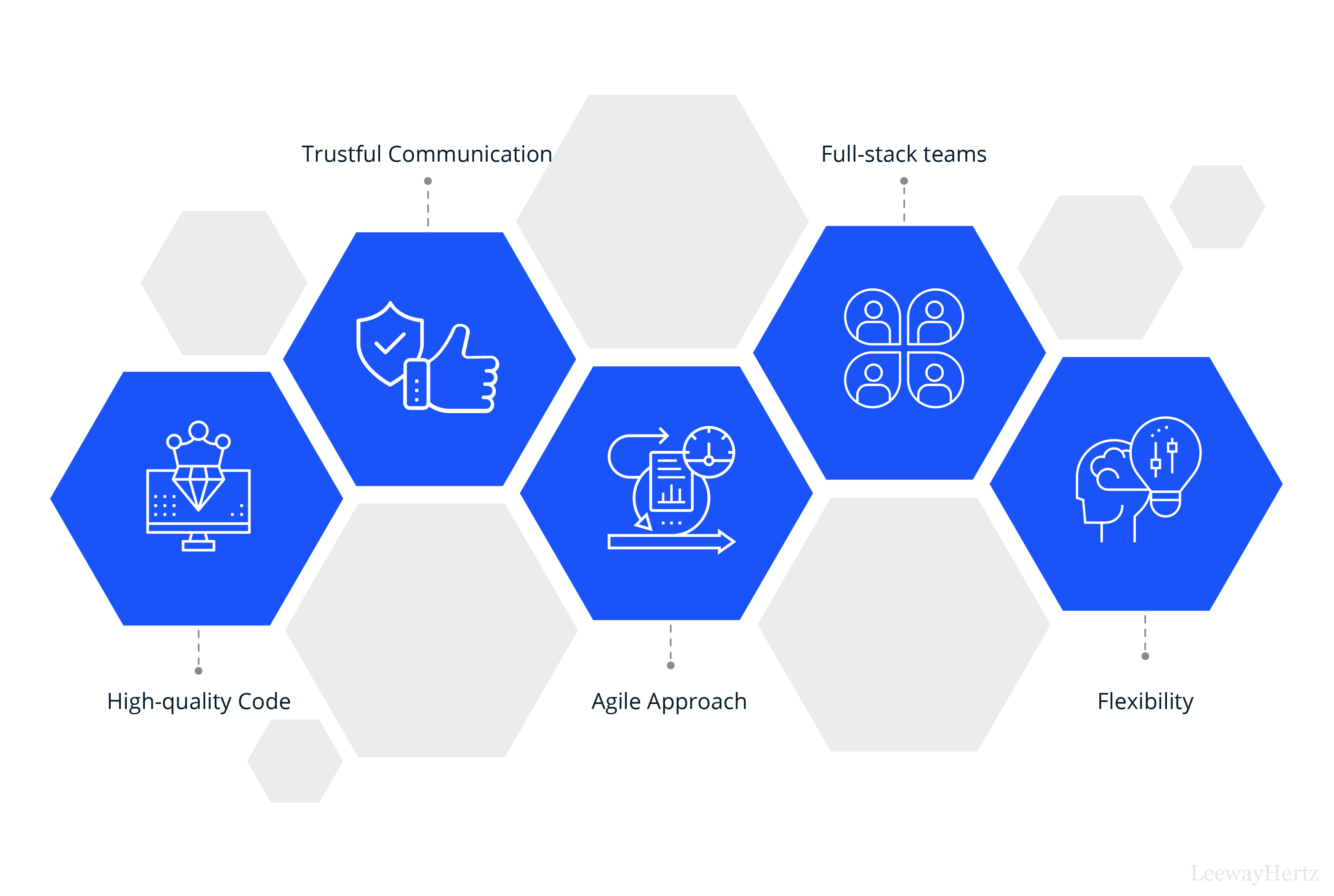 Software Developer Company
