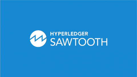 Hyperledger Sawtooth Development Company | LeewayHertz