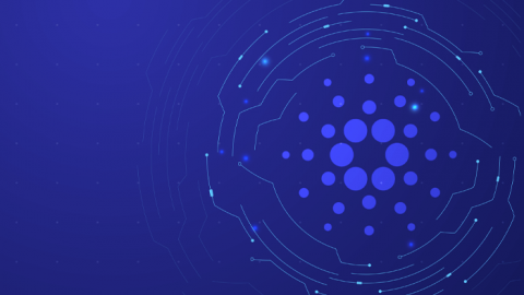 How to set up Cardano Node?