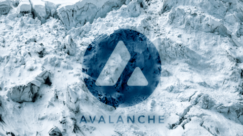 A Detailed Guide On Avalanche Network