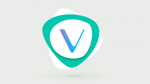 A Detailed Overview of VeChain Blockchain