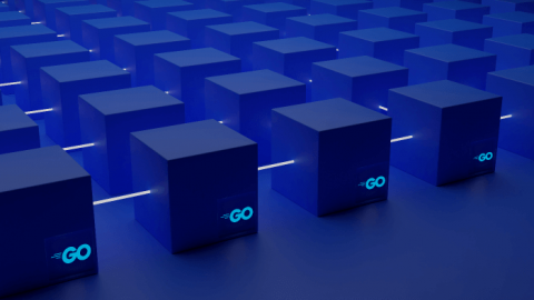 Golang Development Company | LeewayHertz