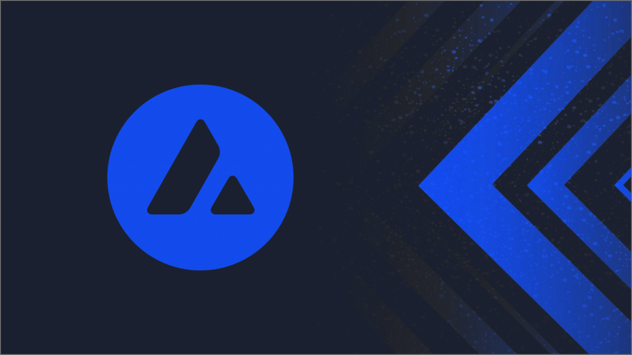 Avalanche Protocol Development Company | LeewayHertz