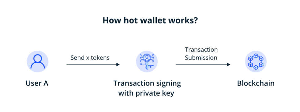 Hot and Cold Wallet Architecture