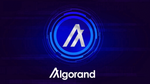 Algorand Blockchain Development Company