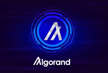 Algorand Blockchain Development Company