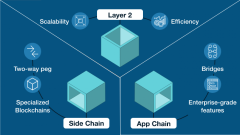 Understanding the Types of Blockchains: Layer 2 Chains Vs. Side Chains Vs. App Chains