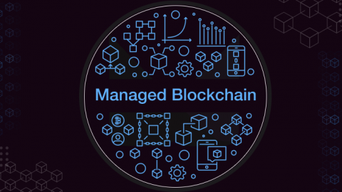 Managed Blockchain Solution