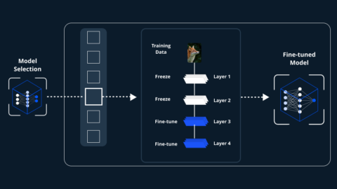 Fine-tuning Pre-Trained Models for Generative AI Applications