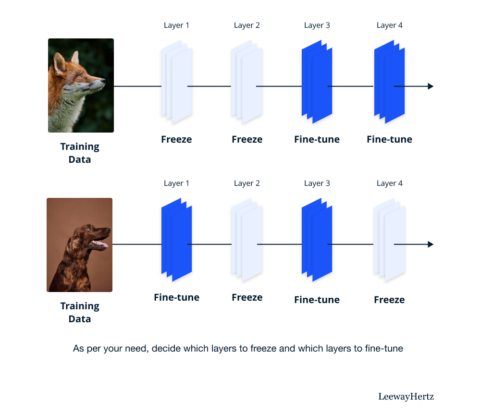 Fine-tuning Pre-Trained Models for Generative AI Applications