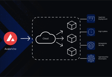 Avalanche Blockchain Node Launch Service
