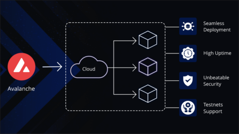 Avalanche Blockchain Node Launch Service