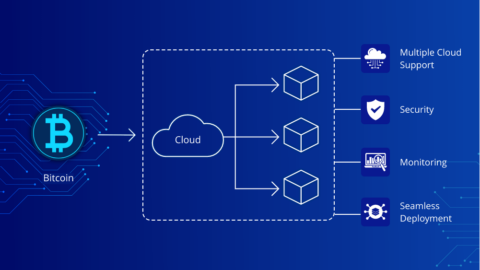 Bitcoin Blockchain Node Launch & Management Service