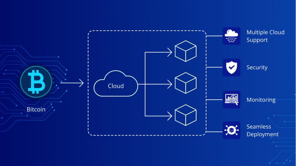 Bitcoin Blockchain Node Launch & Management Service