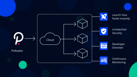 Polkadot Blockchain Launch and Management Service