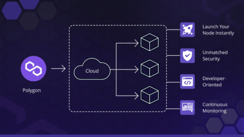Polygon blockchain launch and management service