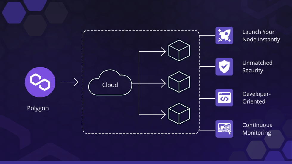 Polygon blockchain launch and management service