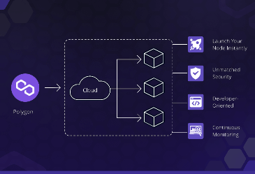 Polygon blockchain launch and management service