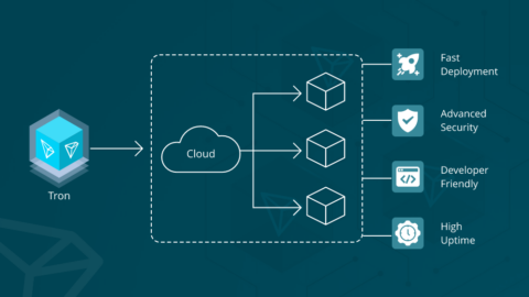 Tron blockchain launch and management service