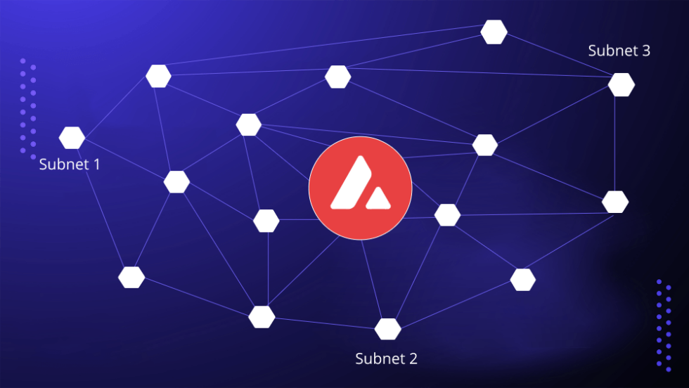 Avalanche subnet launch and management service