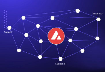 Avalanche subnet launch and management service