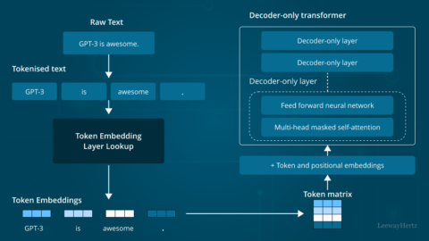 Understanding embeddings: Types, storage, applications and their role ...