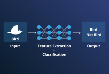 Overview and applications of deep learning in enterprises