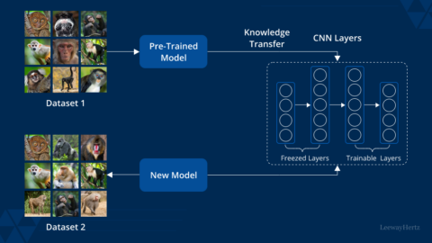 What is transfer learning?
